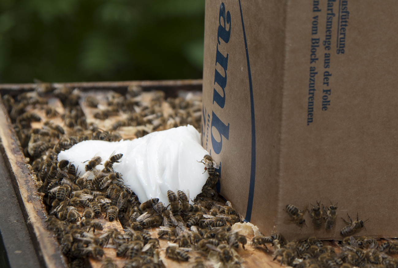 ambrosia® bee feed fondant - Das Bienenfutter